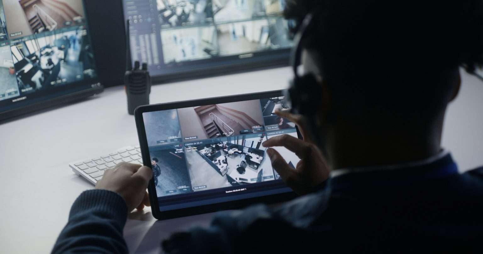 Weapon Detection Systems | Pavion